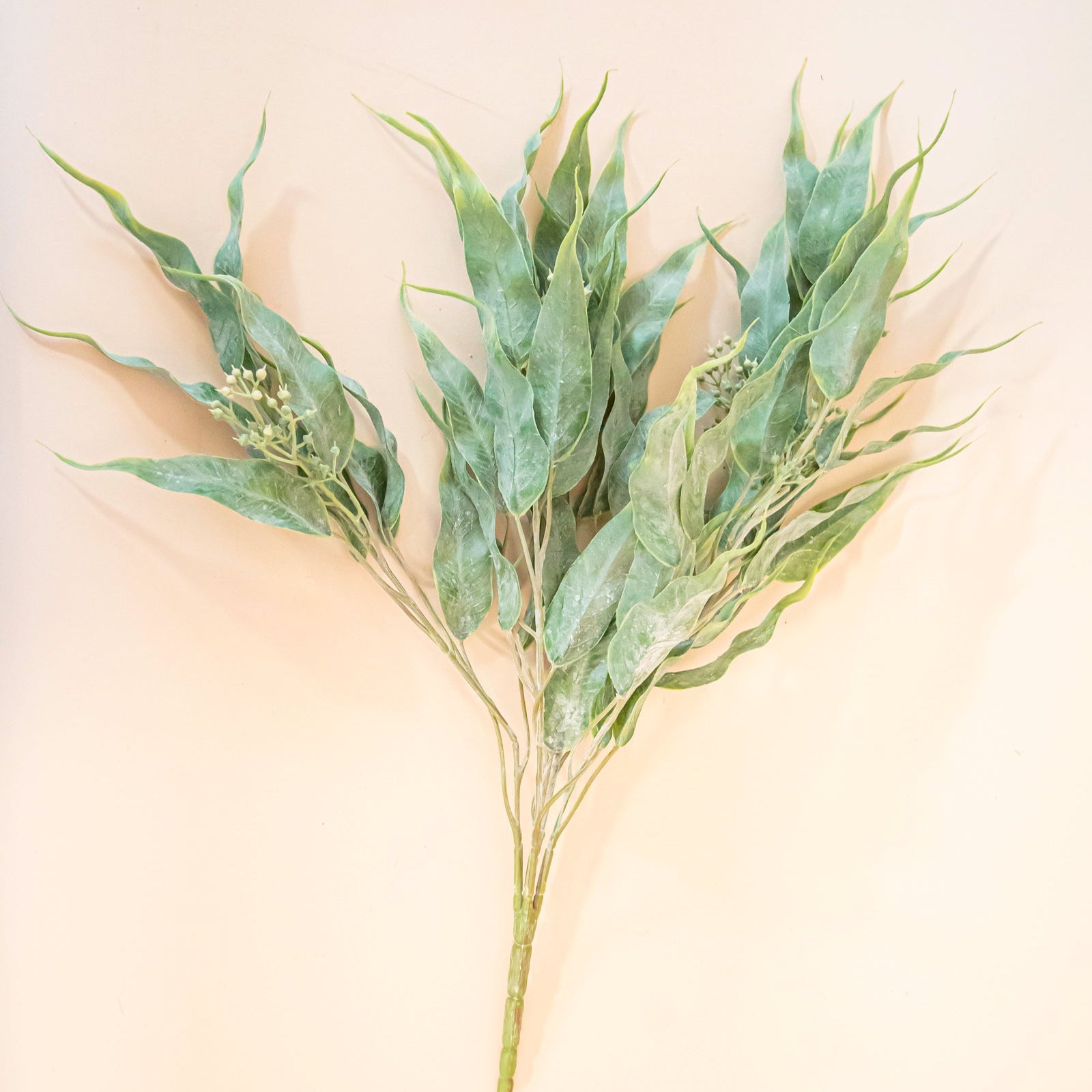 Ripley Bush – Joyfully Said